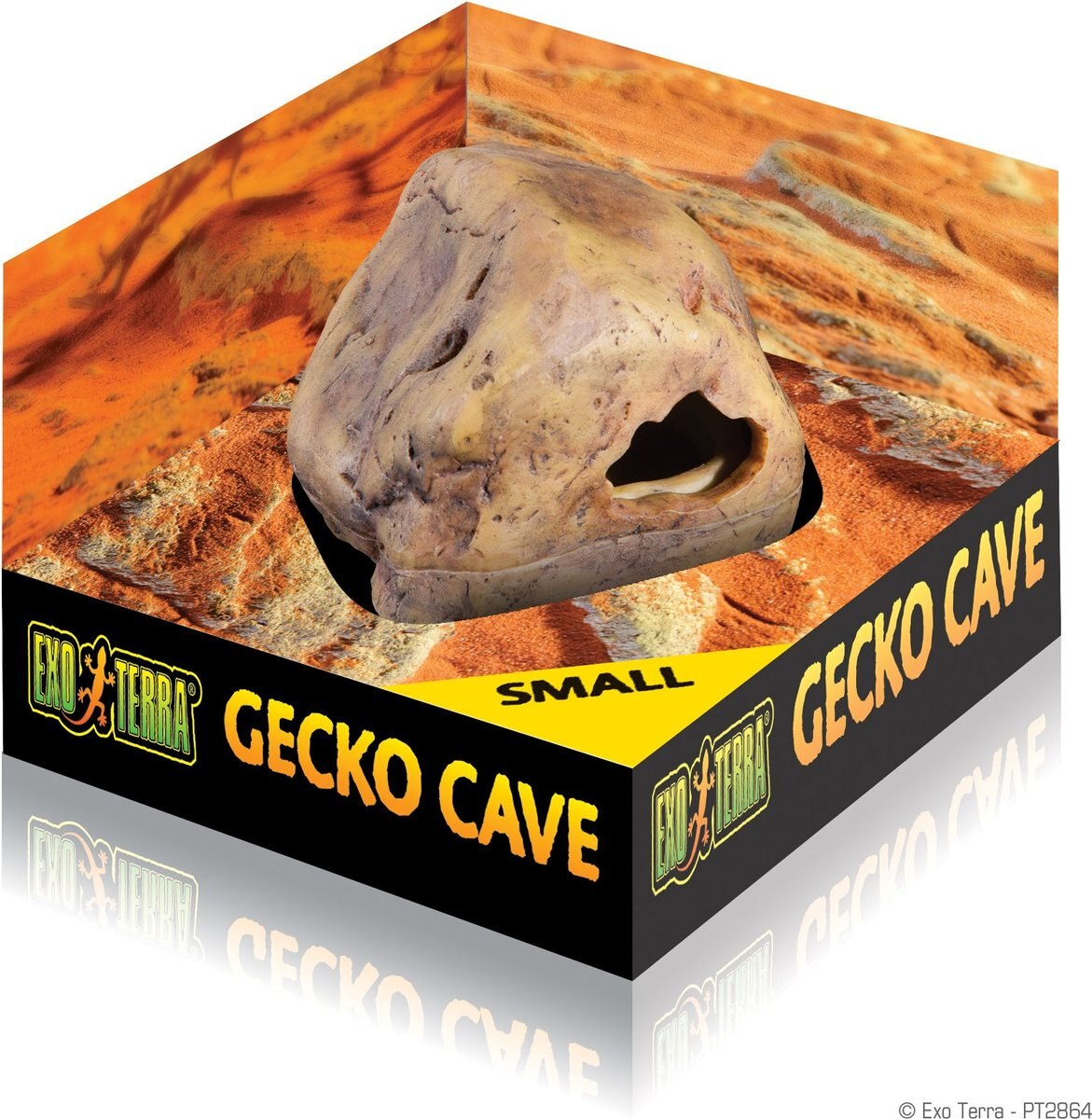 EXO TERRA Gecko Cave for Reptiles, Small - Chewy.com