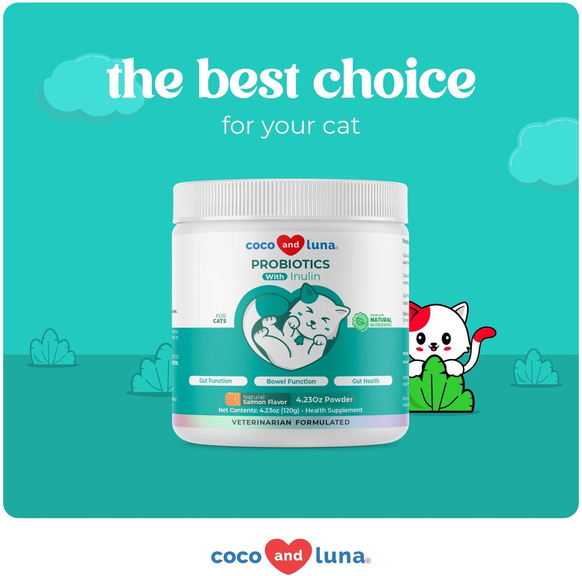 COCO AND LUNA Probiotics with Inulin Stomach & Digestion Powder ...