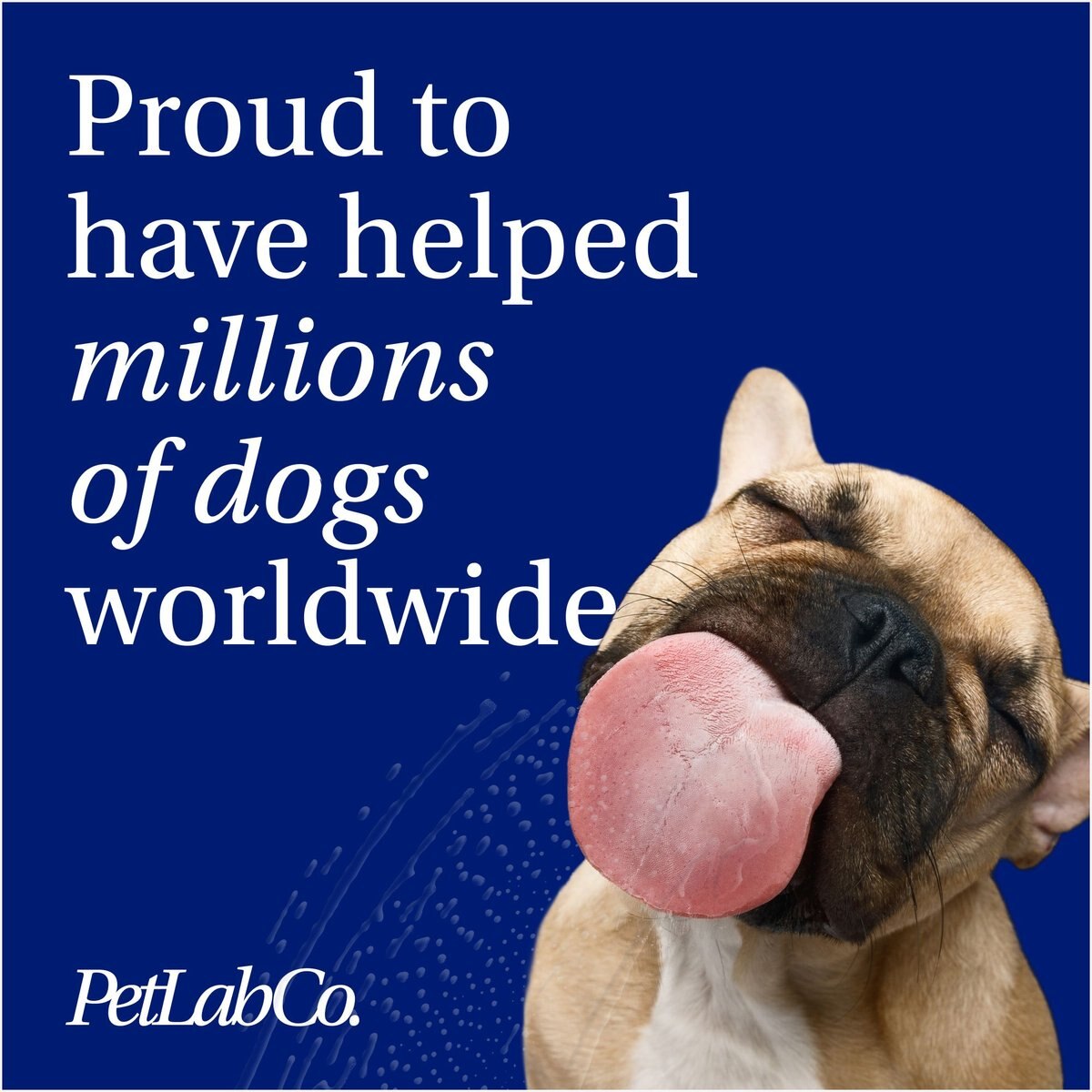 PETLAB CO. Allergy & Immune Probiotic Chew Supplement for Dogs, 30 ...