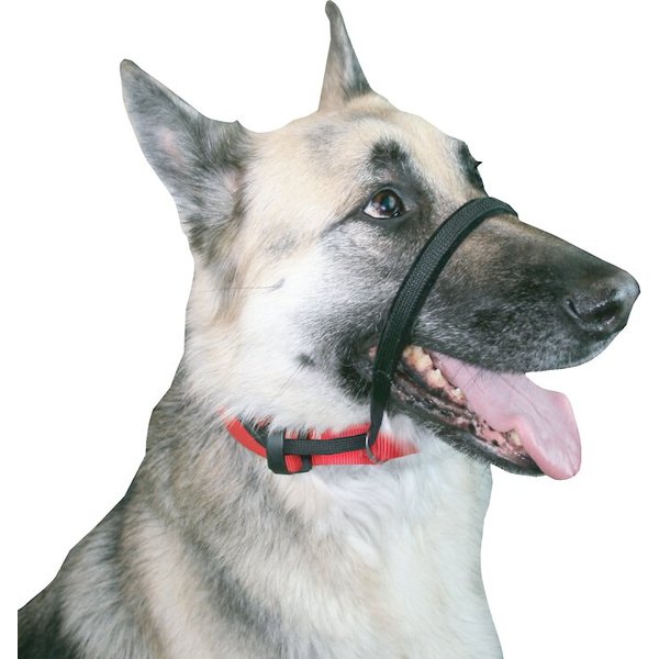 PETSAFE Gentle Leader Padded No Pull Dog Headcollar, Black, Medium: 9 ...
