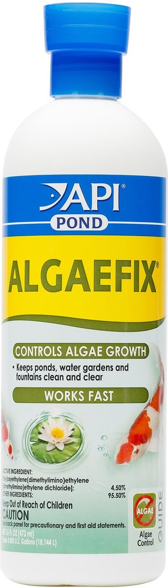 API Pond Algaefix Algae Control Solution, 16-fl oz bottle - Chewy.com
