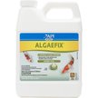 API Pond Algaefix Algae Control Solution, 32-fl oz bottle - Chewy.com
