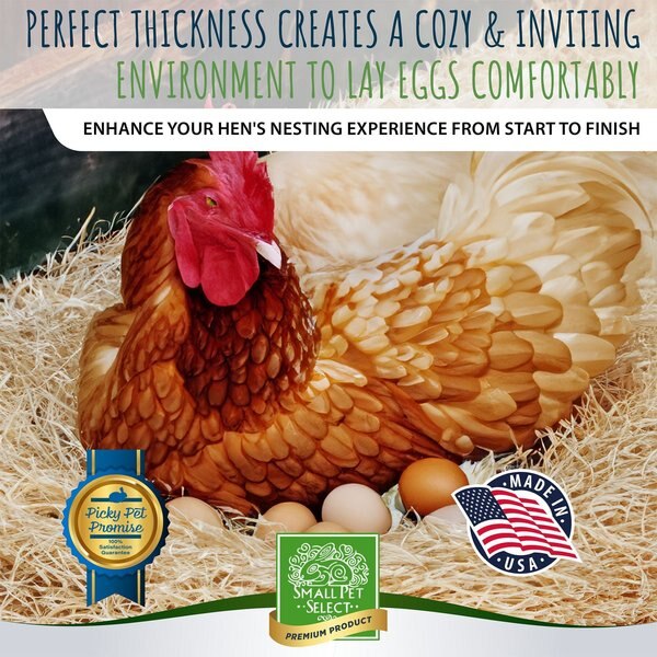 SMALL PET SELECT Chicken Nesting Pads, 13x13-in, 12 count - Chewy.com