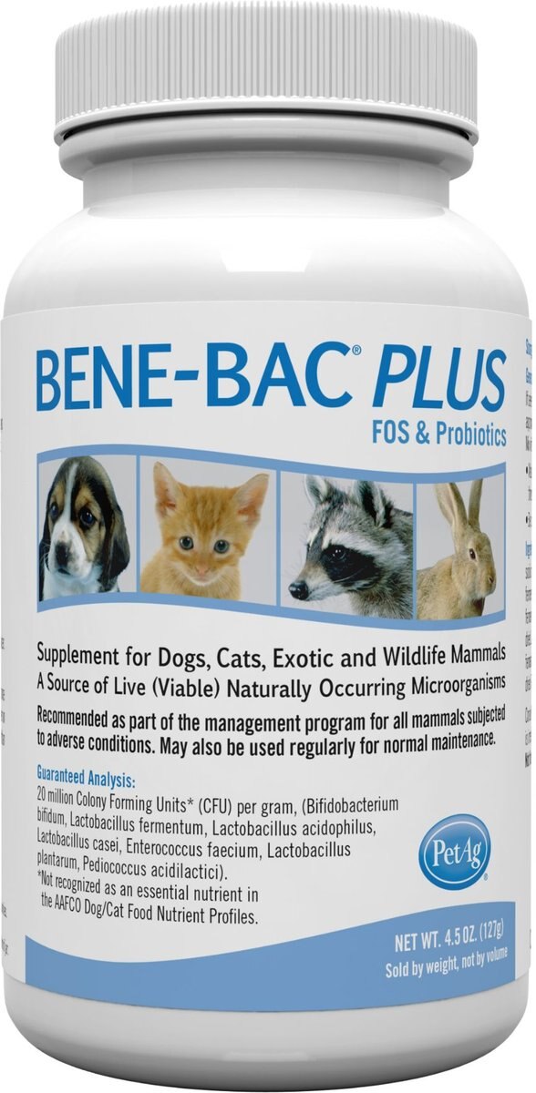PETAG Bene-Bac Plus Powder FOS & Probiotics for Dogs, Cats, Exotic ...