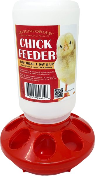 PECKING ORDER Chick Feeder - Chewy.com