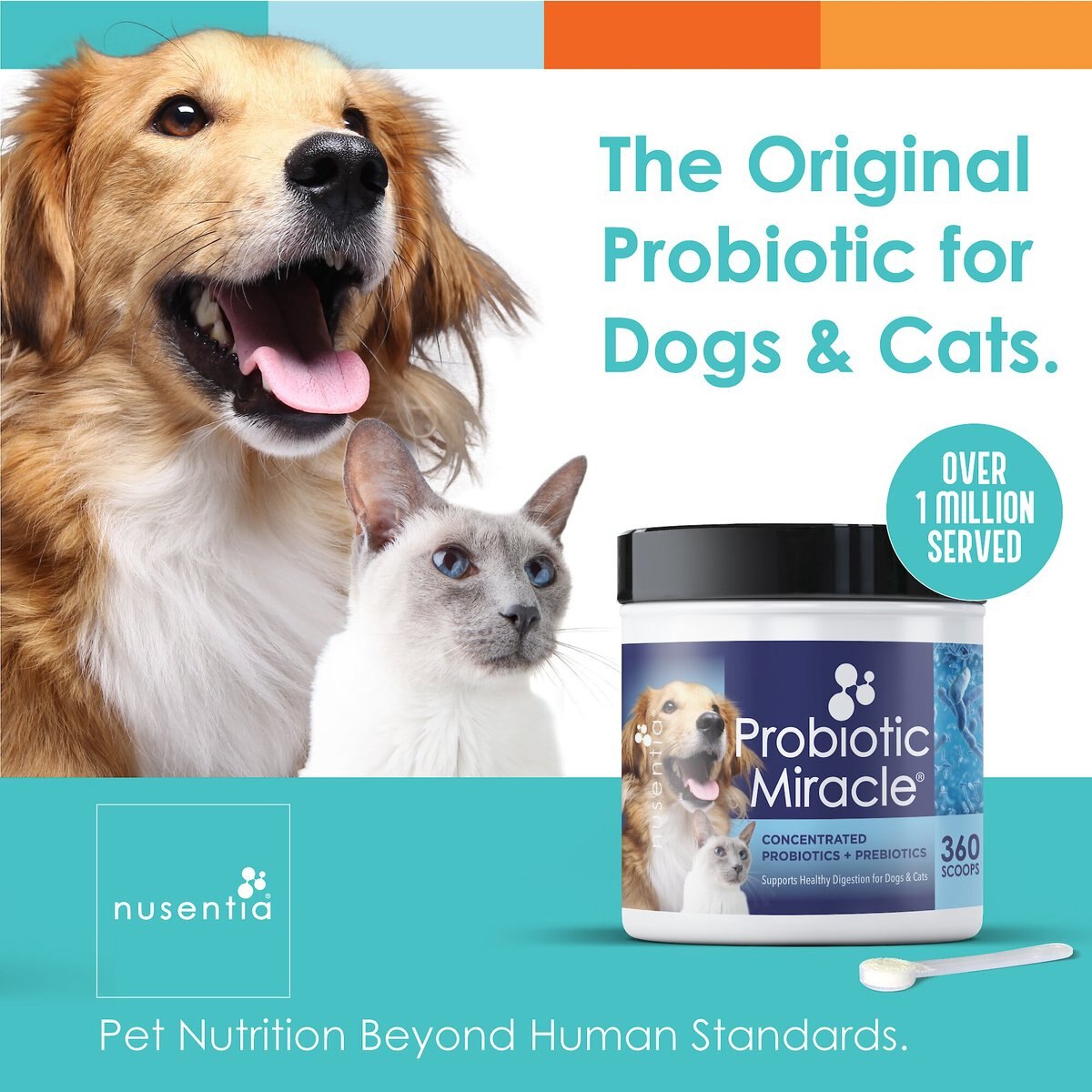 NUSENTIA Probiotic Miracle Premium Blend Dog & Cat Supplement, 131g jar ...