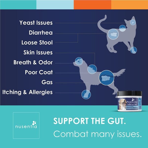 NUSENTIA Probiotic Miracle Premium Blend Dog & Cat Supplement, 44g jar ...