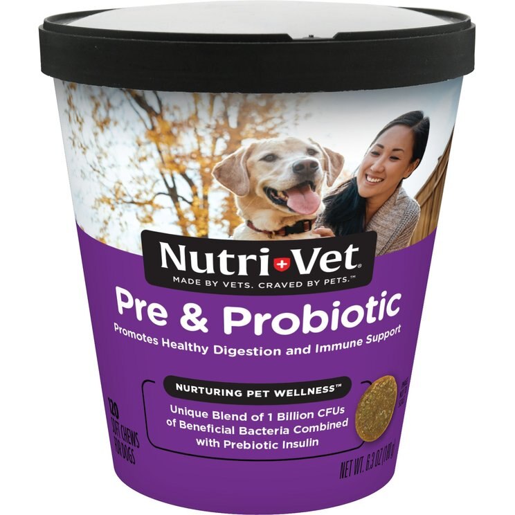 Dog Probiotics & Digestive Supplements (Free Shipping) | Chewy