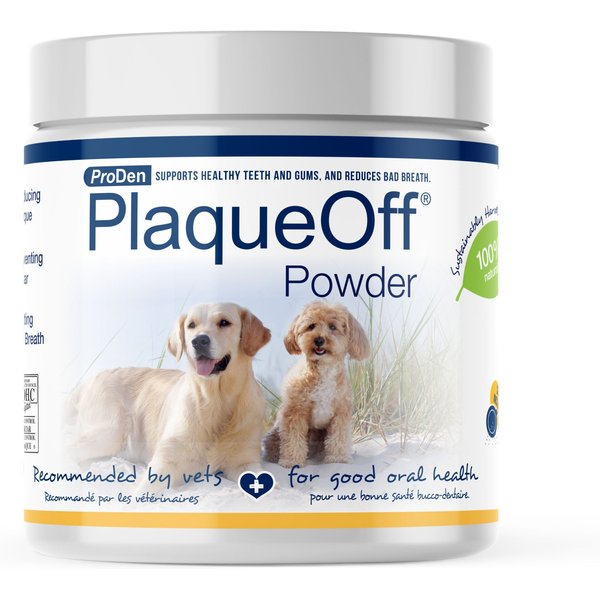 PRODEN PlaqueOff Powder Dog & Cat Supplement, 180g jar - Chewy.com