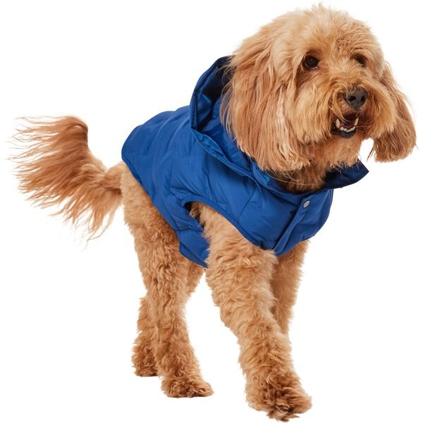 FRISCO Mediumweight Quilted Dog & Cat Puffer with Removable Hood, Blue ...