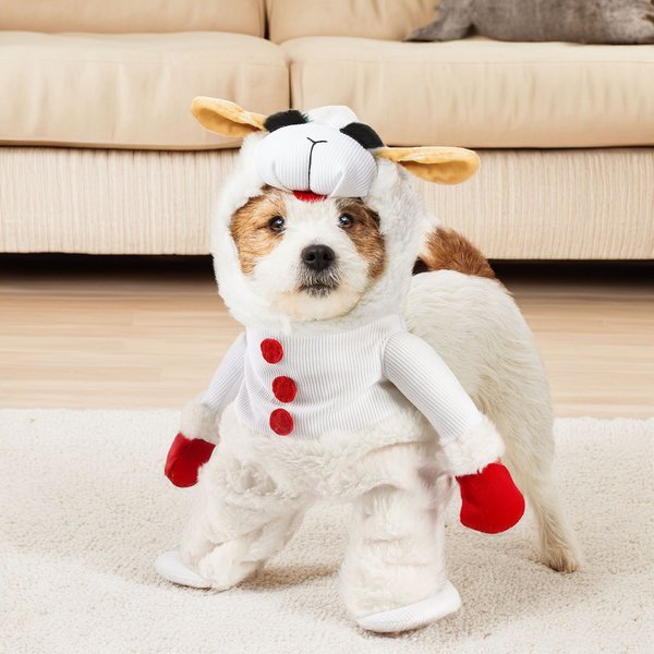 Temporarily Unavailable - RUBIE'S COSTUME COMPANY Lamb Chop Dog Costume ...