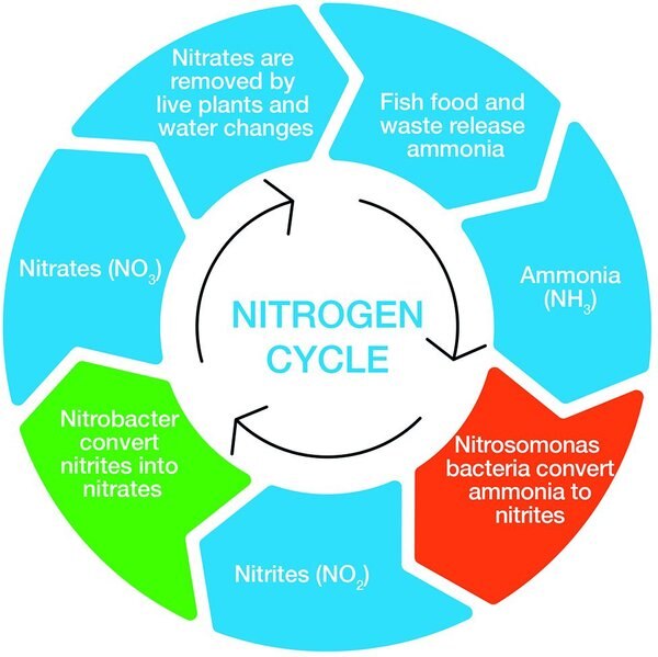 AQUA NATURAL Diamond Black Bio-Substrate Aquarium Gravel, 5-lb bag ...