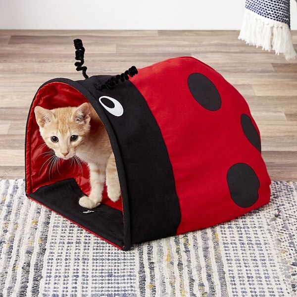 PETRAGEOUS DESIGNS Cat Cave, Ladybug - Chewy.com