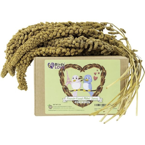 NEMETH FARMS Natural Sun Dried Millet Spray Bird Food, 2-lb box - Chewy.com