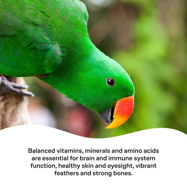 VETAFARM Multivet Liquid Bird Supplement, 3.4-oz bottle - Chewy.com