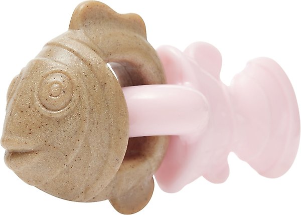 FRISCO Salmon Flavored Interlocking Fish Nylon TPR Dental Teether Chew Puppy Toy for Moderate Chewers Small Chewy