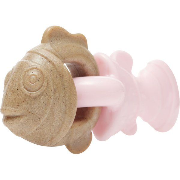 FRISCO Salmon Flavored Interlocking Fish Nylon & TPR Dental Teether ...