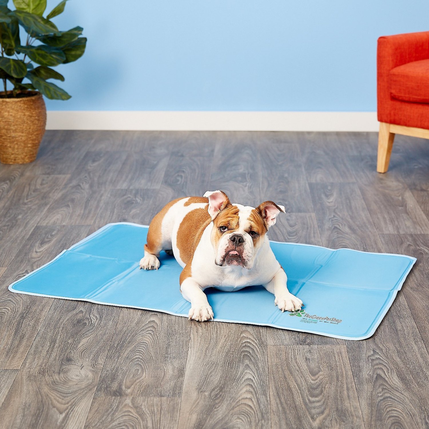 THE GREEN PET SHOP Cool Pet Pad, X-Large - Chewy.com