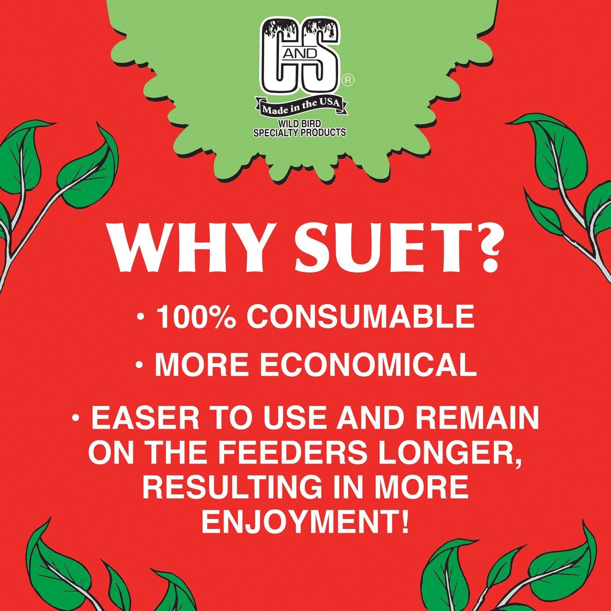 C&S Peanut Suet Nuggets Wild Bird Food, 1.68-lb bag - Chewy.com