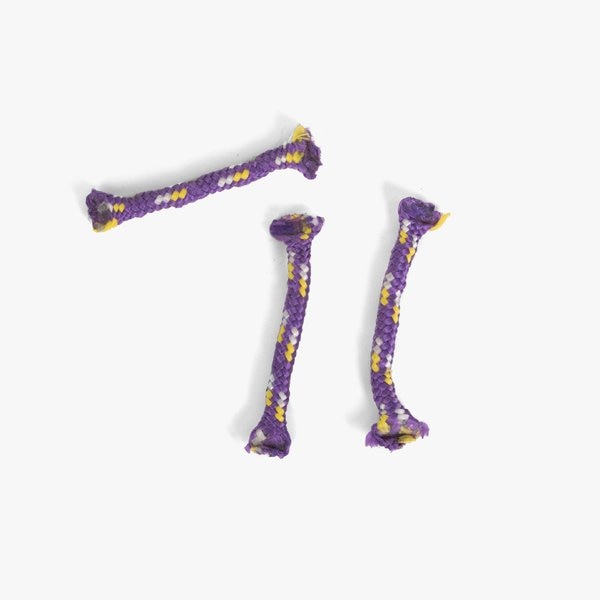 FRISCO Colorful Springs Cat Toy, 10 count - Chewy.com