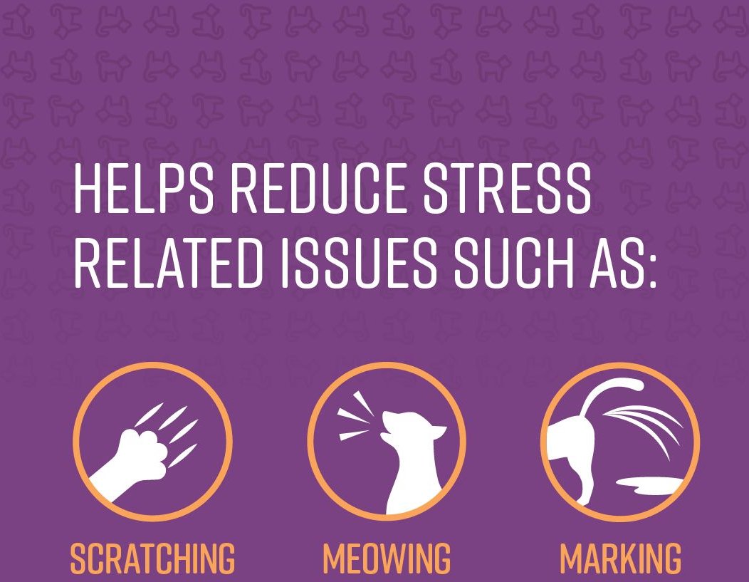 SENTRY Behavior Portable Calming Diffuser for Cats - Chewy.com