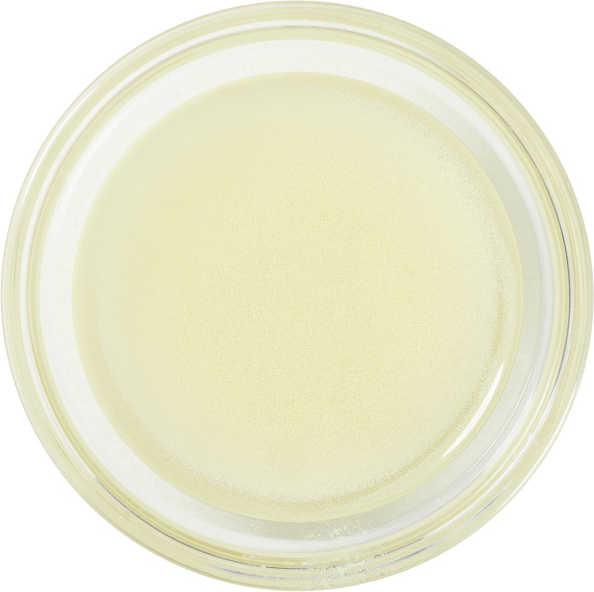 SHAPLEY'S Original M-T-G Mane Tail Groom Horse Solution, 32-fl oz ...