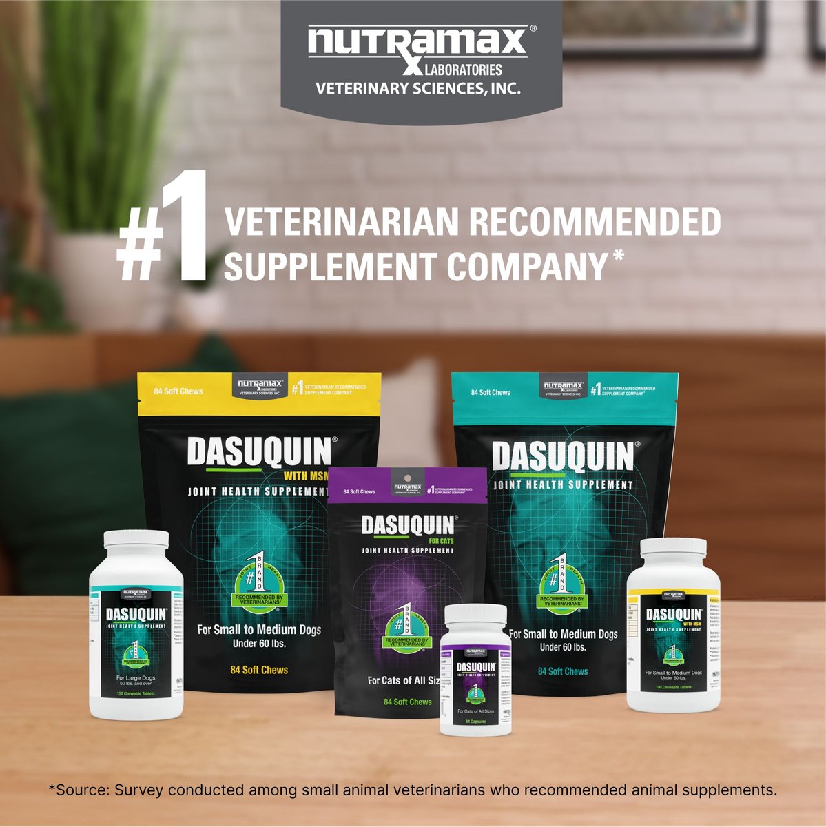 NUTRAMAX Dasuquin Joint Health Supplement for Small/Medium Senior Dogs ...