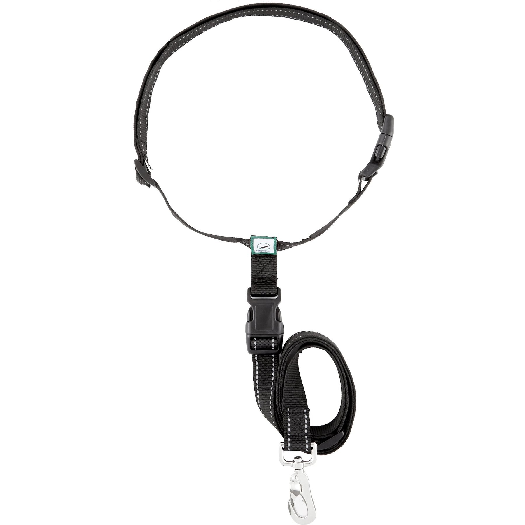 CALDWELL'S Original Running Leash - Chewy.com