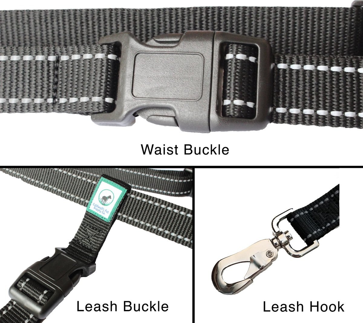 CALDWELL'S Original Running Leash - Chewy.com