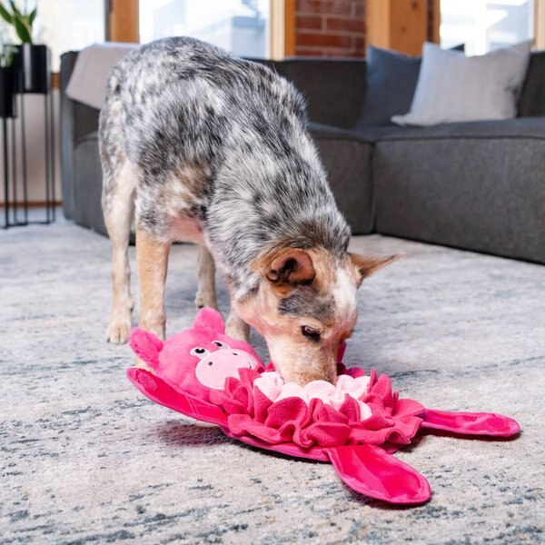 NINA OTTOSSON BY OUTWARD HOUND Snuffle Palz Interactive Plush Puzzle & Snuffle Mat Dog Toy, Bear ...