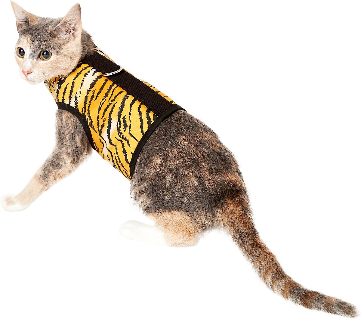 KITTY HOLSTER Cat Harness, Tiger Stripe, X-Small - Chewy.com