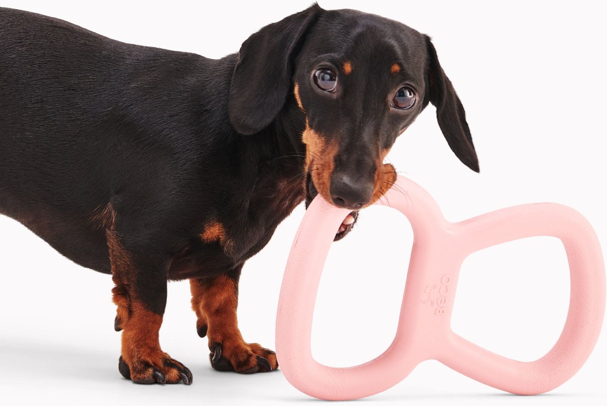 Discontinued - BECO PETS Tough Tugger Dog Tug Toy, Green - Chewy.com