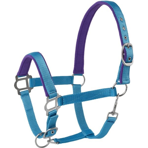 TOUGH-1 Nylon Padded Halter with Satin Horse Hardware, Turquoise, Horse ...