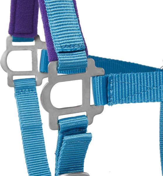 TOUGH-1 Nylon Padded Halter with Satin Horse Hardware, Turquoise, Horse ...