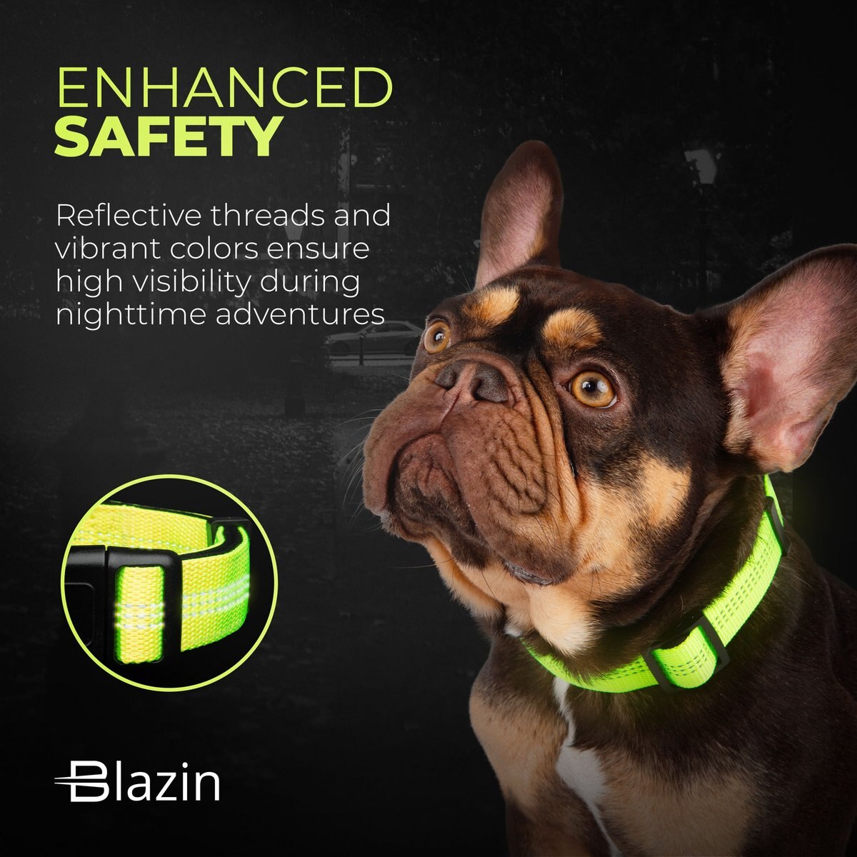 BLAZIN Color Me Happy! Reflective Dog Collar, Brilliant Blue, Medium ...
