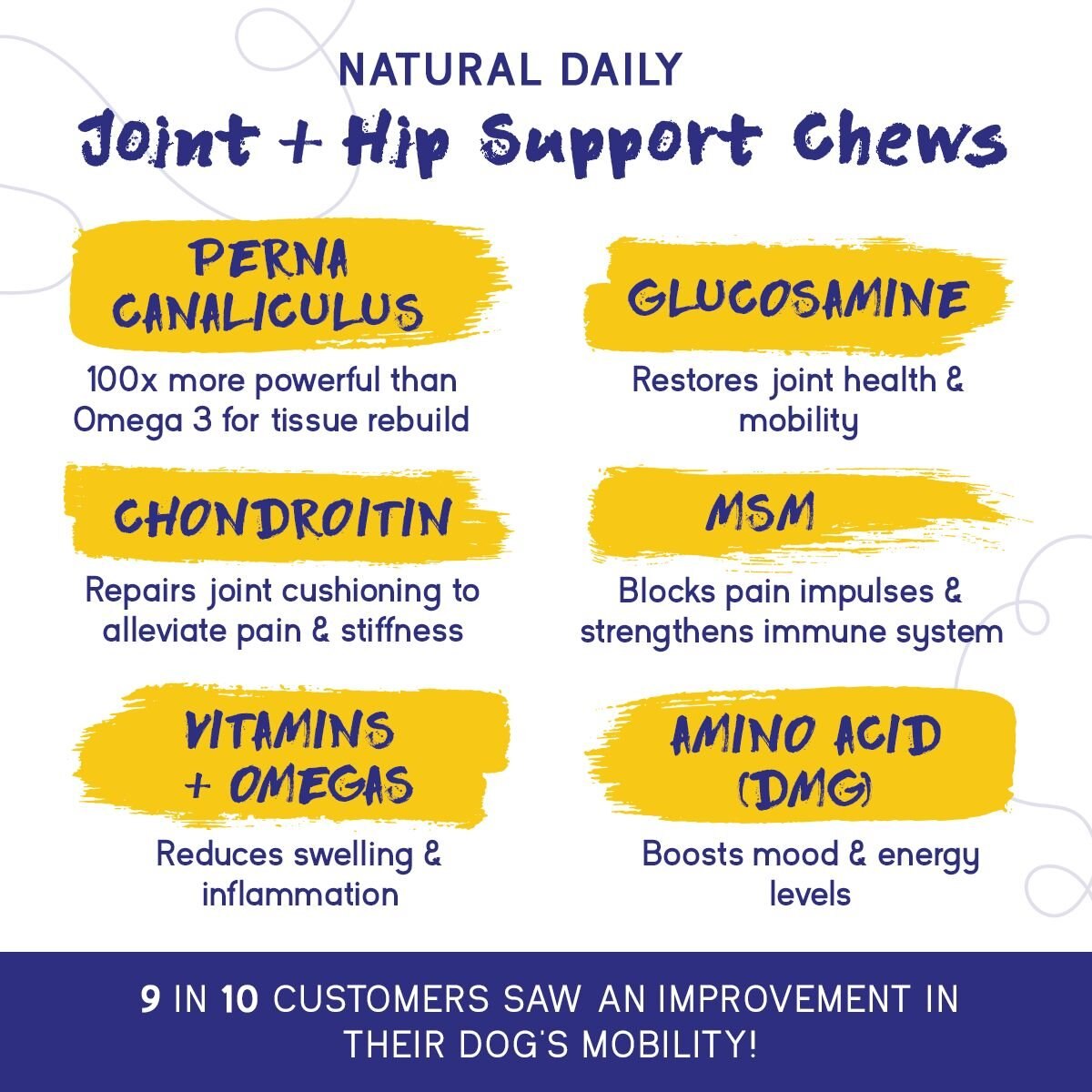 PUPGRADE Joint Support Supplement for Dogs, 60 count - Chewy.com