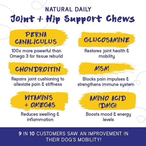 PUPGRADE Joint Support Supplement for Dogs, 60 count - Chewy.com
