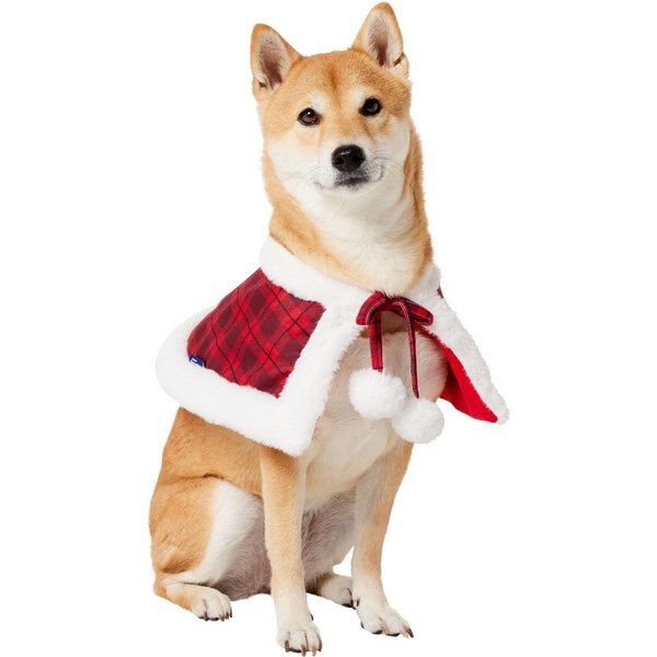 FRISCO Faux Fur Trimmed Dog & Cat Cape, Medium/Large - Chewy.com