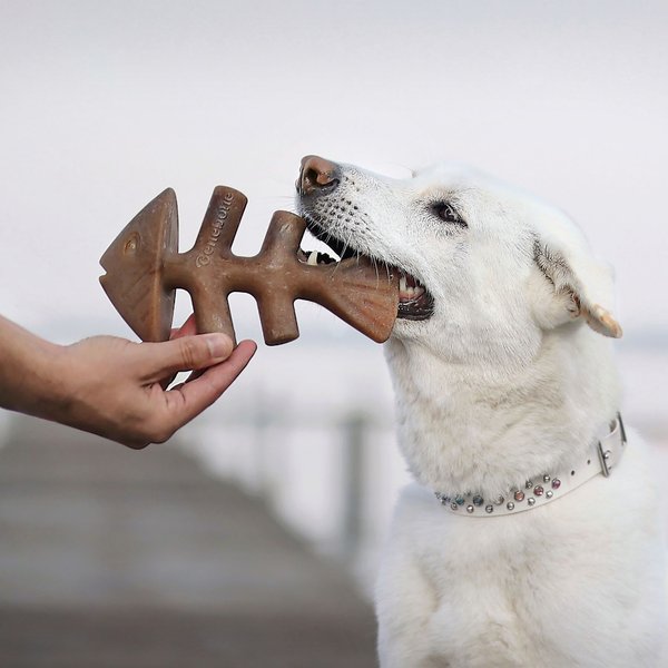 BENEBONE 2-Pack Wishbone Fishbone Dog Chew Toy, Large - Chewy.com