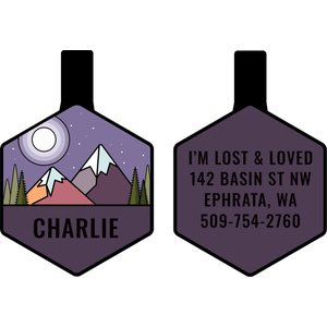 GOTAGS Silent Silicone Personalized Dog ID Tag, Mountain Purple - Chewy.com