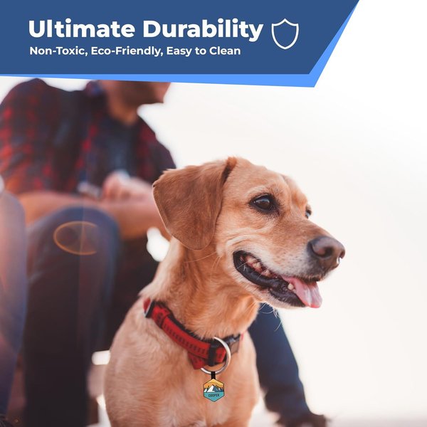 GOTAGS Silent Silicone Personalized Dog ID Tag, Mountain Purple - Chewy.com