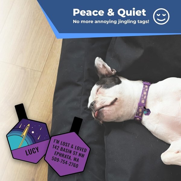 GOTAGS Silent Silicone Personalized Dog ID Tag, Forest Gold - Chewy.com