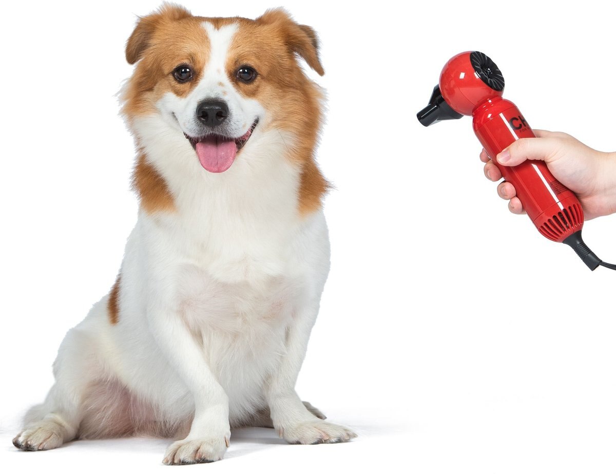 CHI Grooming Plus Compact Low-Heat Handheld Dog Hair Dryer - Chewy.com