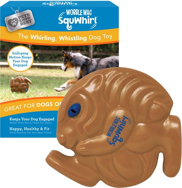 PETS KNOW BEST Wobble Wag Squwhirl Dog Flying-Discs Toy, Brown - Chewy.com