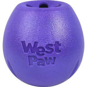 WEST PAW Zogoflex Toppl Tough Treat Dispensing Dog Chew Toy, Aqua Blue ...