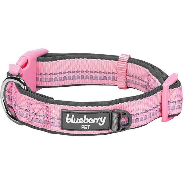 BLUEBERRY PET 3M Reflective Pattern Dog Collar, Teal Blue, Large: 17 to ...