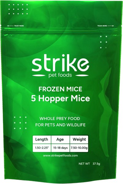 STRIKE Hopper Frozen Mice Reptile Food, 5 count - Chewy.com