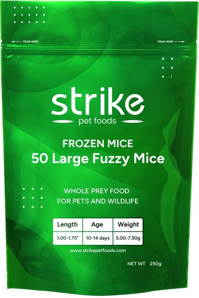 STRIKE Large Fuzzy Frozen Mice Reptile Food, 50 count - Chewy.com