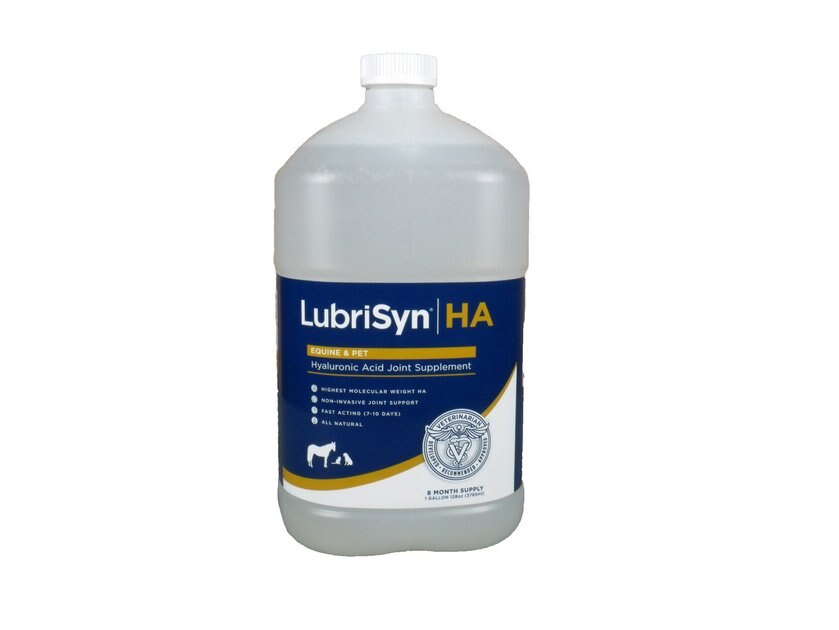 LUBRISYN HA Hyaluronic Acid Horse & Pet Joint Supplement, 1-gal - Chewy.com