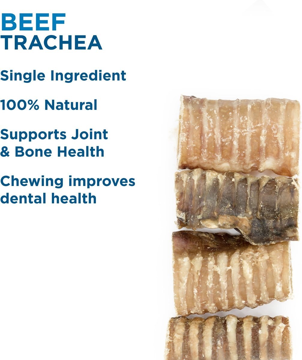 BEST BULLY STICKS Beef Trachea Dog Treats, 50 count - Chewy.com